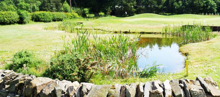 Find out how to get FREE Golf in the Scottish Borders